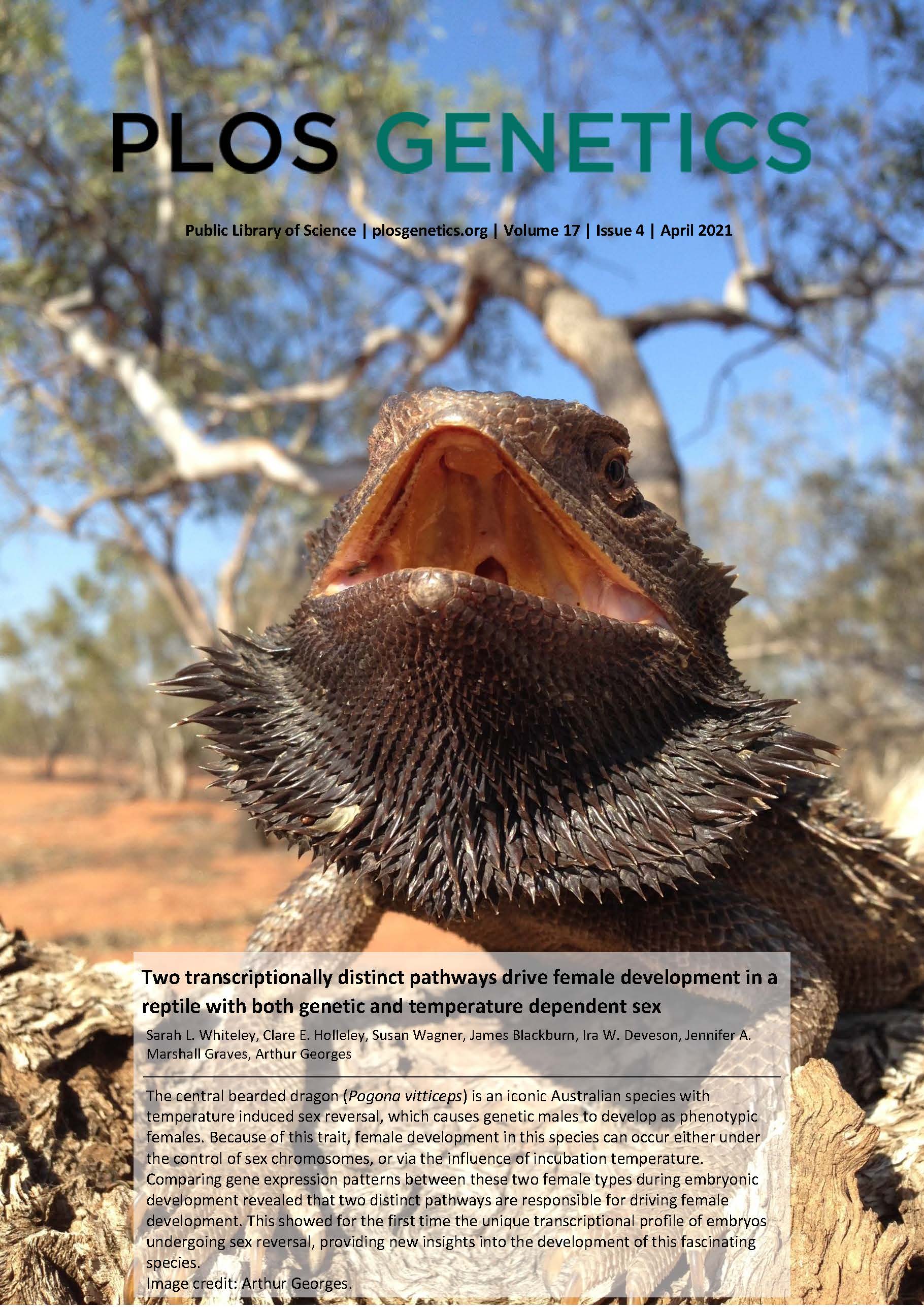 Publications – Sarah Whiteley | Scientific Research